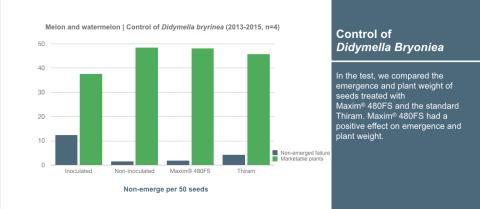 Trial results melon and watermelon | Syngenta Seedcare