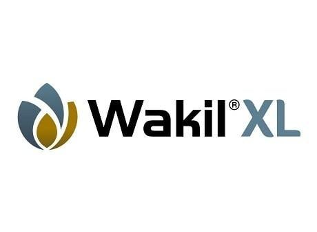 Wakil Logo New Star Automotive | Cairo